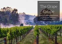 The Grape Escape: Must Visit Wineries this Wine Harvest | AGFG