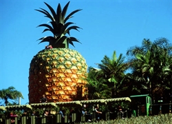 Big Things in Queensland | AGFG