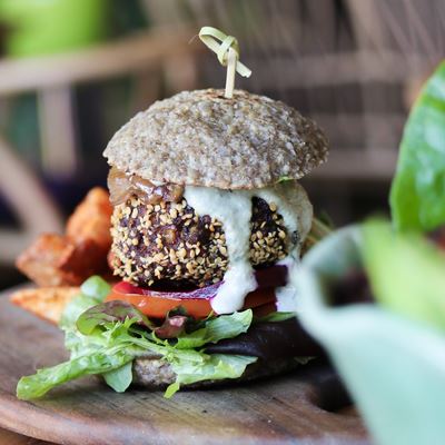 Everything You Need to Know about Hemp | AGFG