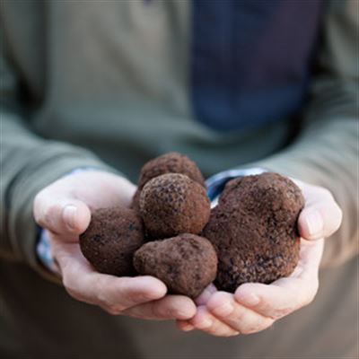 How to Get Your Truffle Fix this Season – Order Australian Truffles ...