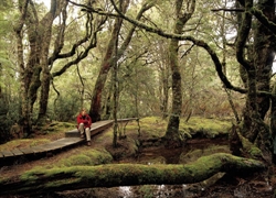 Bushwalking & Hiking in Tasmania | AGFG