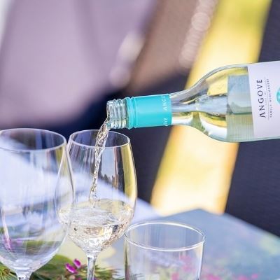 Great Minds Drink Alike – Cheers to National Pinot Grigio Day. | AGFG