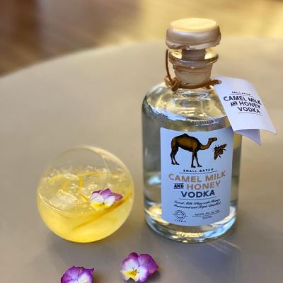 Camels Love Wednesday – It’s Hump Day! Try These Cocktails to Celebrate ...