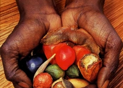 Australian Bush Tucker | AGFG