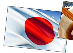 Japanese Culture in Australia | AGFG