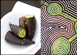 Australian Aboriginal Bush Food | AGFG