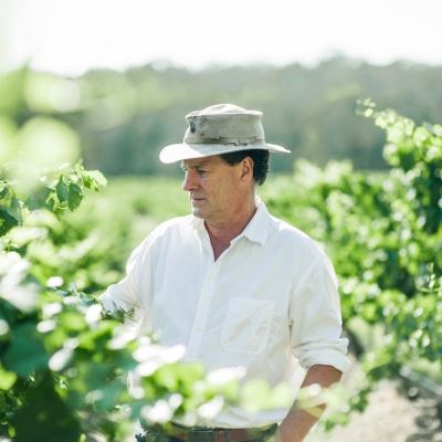 Wine of the Week – David Hook Wines 2021 Central Ranges Barbera. | AGFG