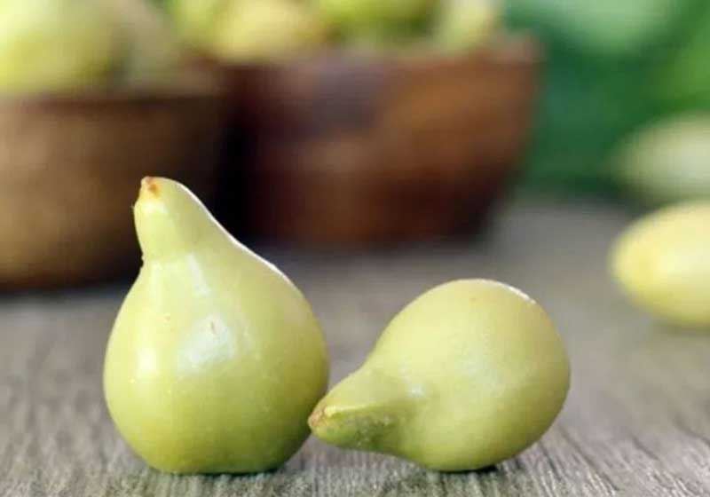 Discover Native Ingredients in Our Spirit of Australia Recipe ...