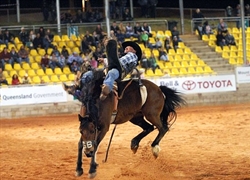 Rodeos in Queensland | AGFG
