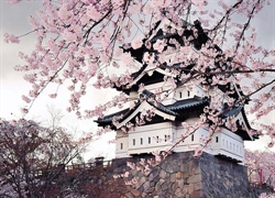 Japan: National Foundation Day | AGFG