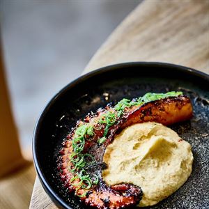 HUMBUG, Newcastle City - Modern Australian Restaurant Menu, Phone ...