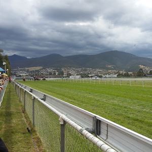 Elwick Functions & Events, Glenorchy - Modern Australian Restaurant ...