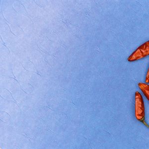 Yo Loco, Jamisontown - Mexican Restaurant Menu, Phone, Reviews | AGFG