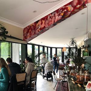 Bloom Cafe Aperitivo, Potts Point - Italian Restaurant Menu, Phone ...