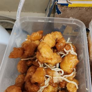 GOLDEN KIM, St Marys - Chinese Restaurant Menu, Phone, Reviews | AGFG