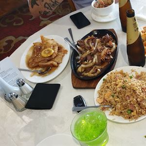 Pink Diamond Chinese Restaurant, Campbelltown - Chinese Restaurant Menu ...