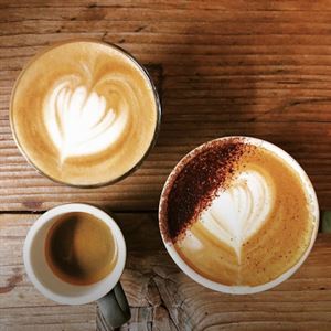 The Hungry Ghost, Avalon Beach - Cafe Restaurant Menu, Phone, Reviews ...