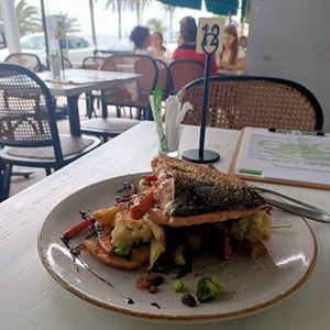 Lazy Frog, Bronte - Cafe Restaurant Menu, Phone, Reviews | AGFG