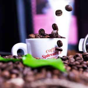 Splendor Coffee Cafe | Albion, Albion - Cafe Restaurant Menu, Phone ...