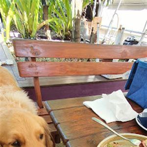 Evo Cafe, Yeronga - Cafe Restaurant Menu, Phone, Reviews | AGFG