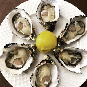 Sea Cow, Darlinghurst - Seafood Restaurant Menu, Phone, Reviews | AGFG