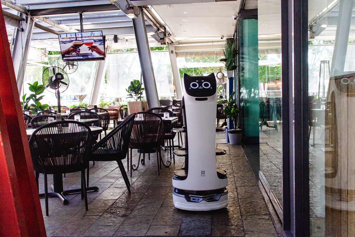 Casa Ristorante Italiano, Sydney CBD - Italian Restaurant Menu, Phone ...