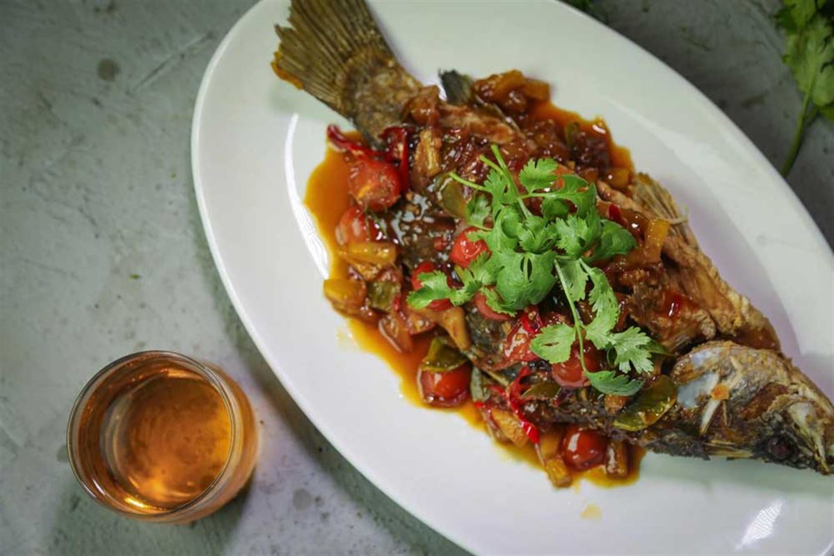 Thanon Khao San, Sydney CBD - Menus, Phone, Reviews | AGFG