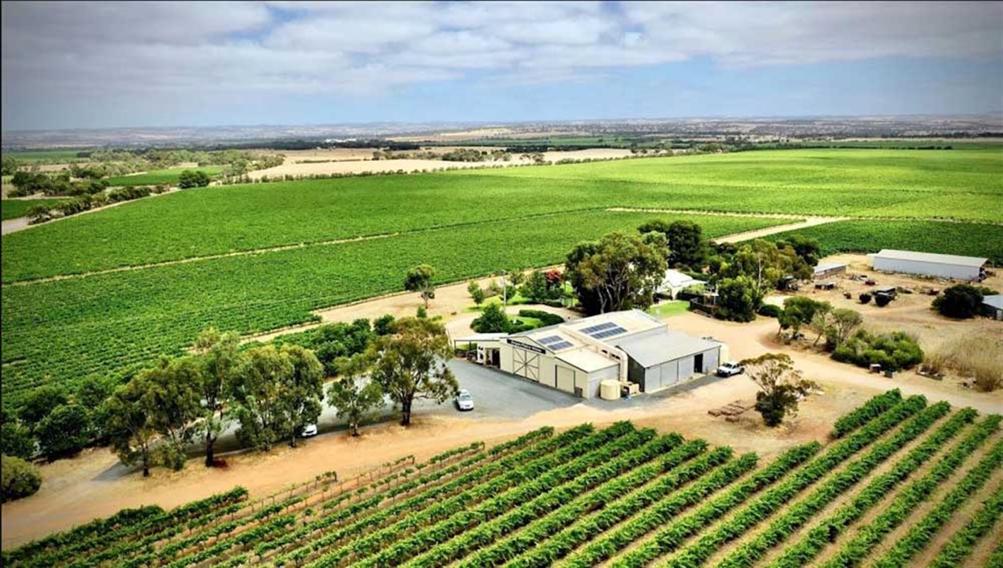 Angas Plains Estate Wines, Langhorne Creek Wineries - Reviews, Phone ...