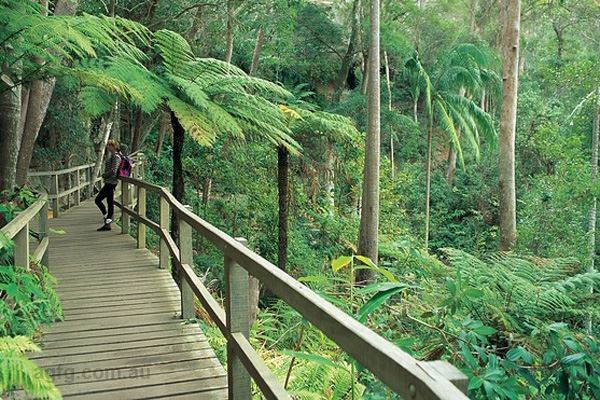 Cania Gorge National Park, Monto Attractions - Reviews, Phone, Bookings ...