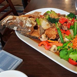 Pinto Thai, Kensington - Thai Restaurant Menu, Phone, Reviews | AGFG