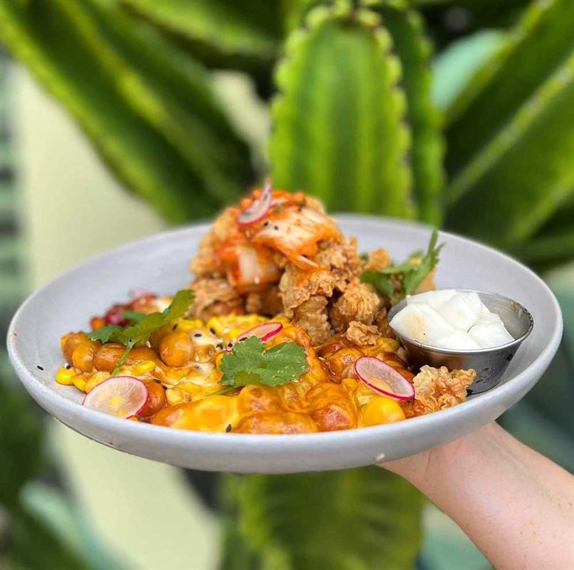 Riba Kai, Maroochydore - Cafe Restaurant Menu, Phone, Reviews | AGFG