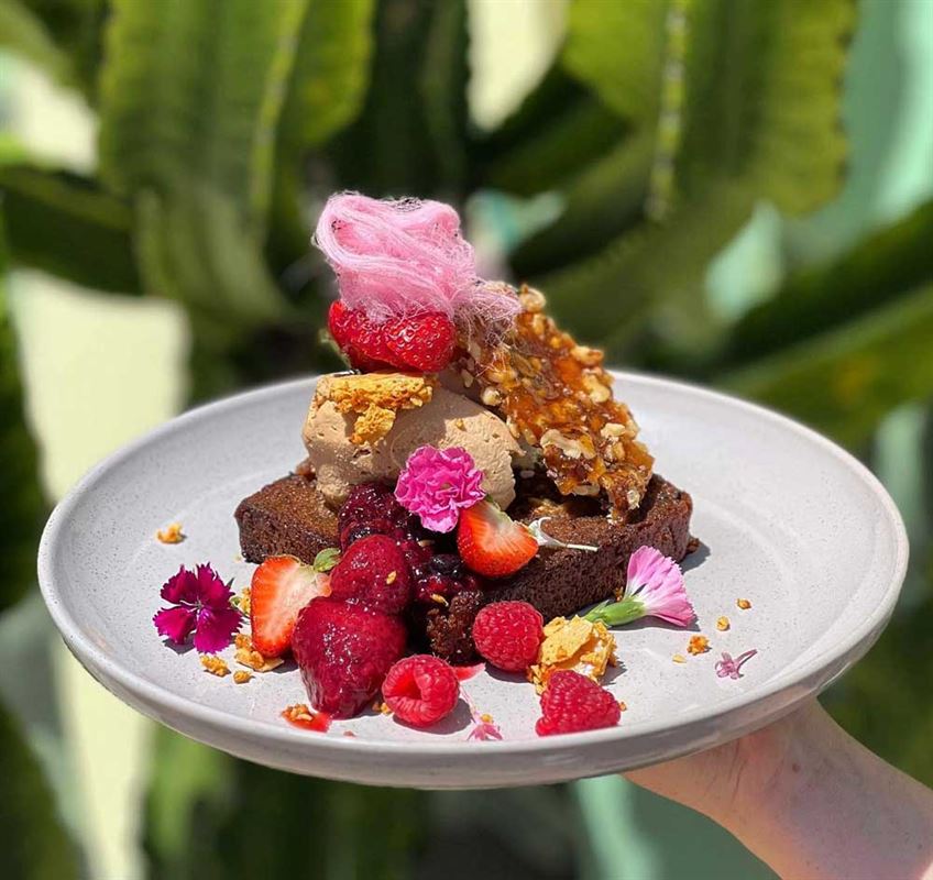 Riba Kai, Maroochydore - Cafe Restaurant Menu, Phone, Reviews | AGFG