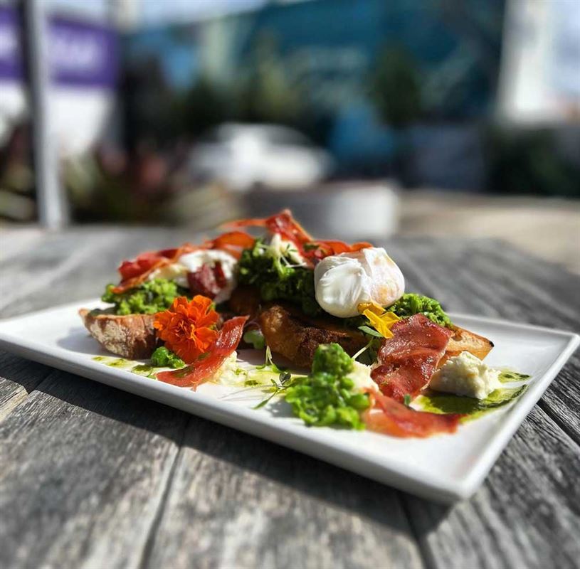 Riba Kai, Maroochydore - Cafe Restaurant Menu, Phone, Reviews | AGFG