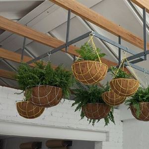 Short Straw, Hawthorn - Cafe Restaurant Menu, Phone, Reviews | AGFG