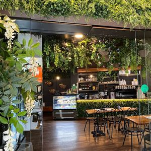 Screaming Beans Penrith, Penrith - Cafe Restaurant Menu, Phone, Reviews ...