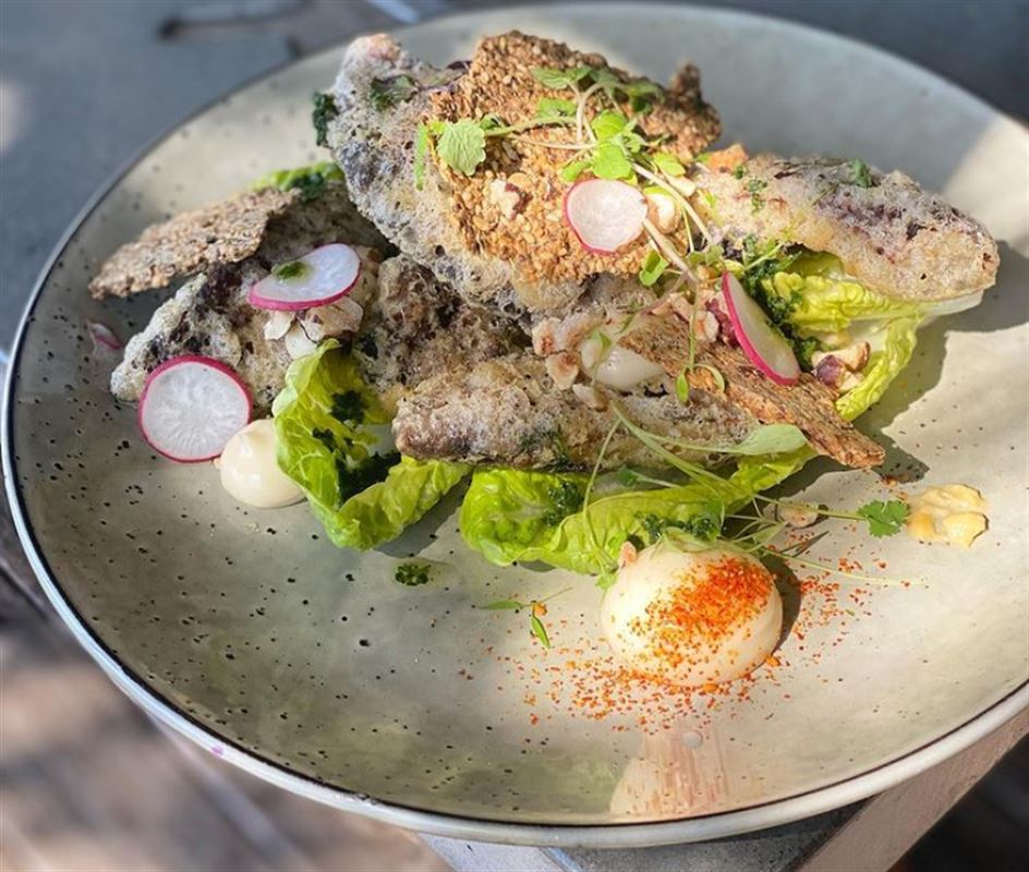 Urban Paddock Cafe, Dalby - Cafe Restaurant Menu, Phone, Reviews | AGFG