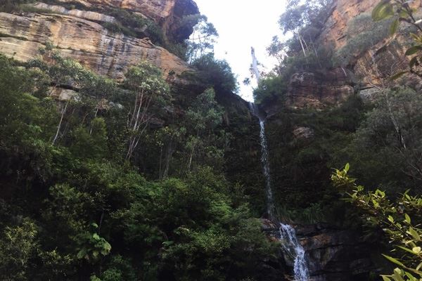 Bushwalking in the Blue Mountains, Katoomba Attractions - Reviews ...