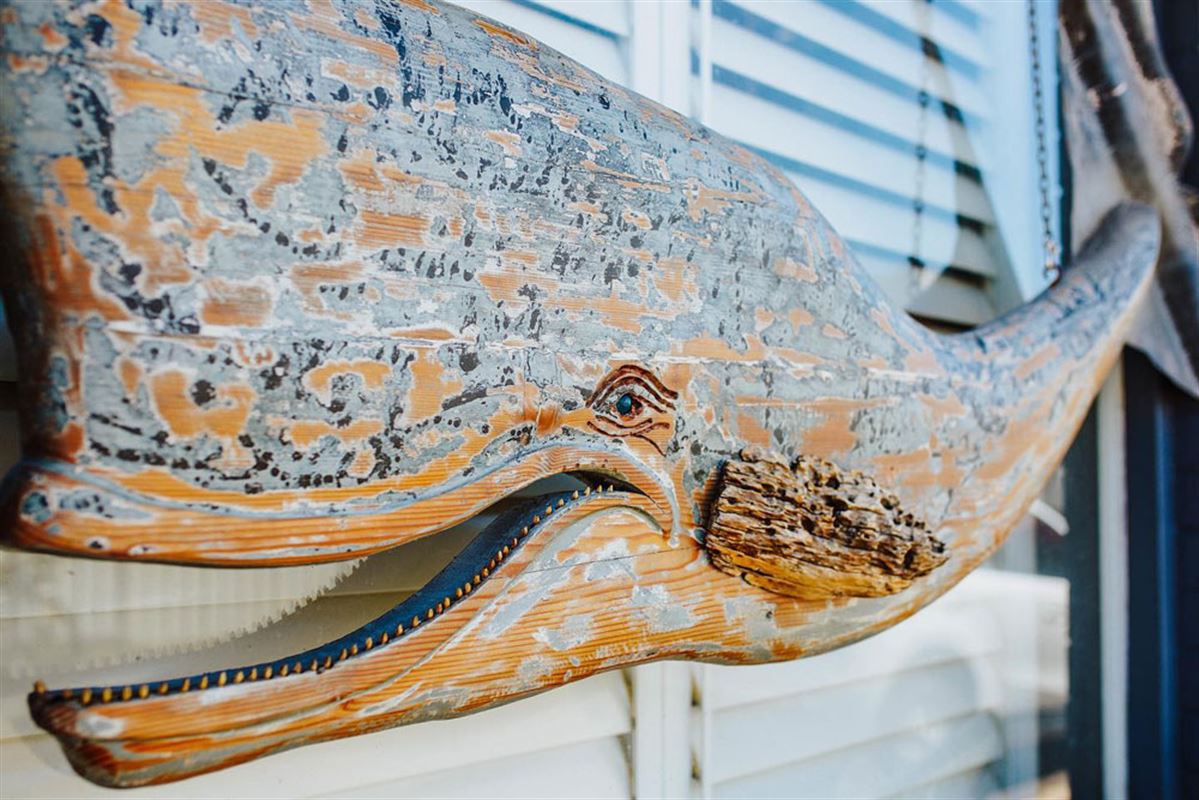 Akuna Cafe, Merewether - Cafe Restaurant Menu, Phone, Reviews | AGFG