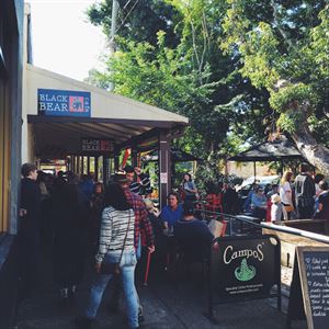Black Bear Cafe, Bellingen - Cafe Restaurant Menu, Phone, Reviews | AGFG