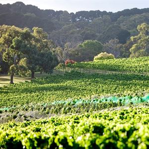 Elgee Park Vineyard, Merricks North Winery - Reviews, Phone, Bookings ...