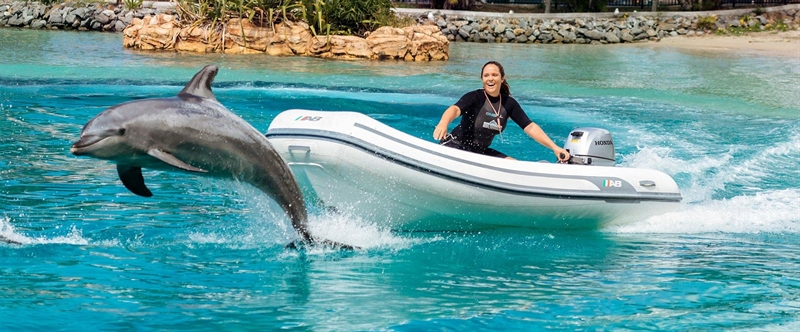 Sea World, Main Beach Attractions - Reviews, Phone, Bookings | AGFG