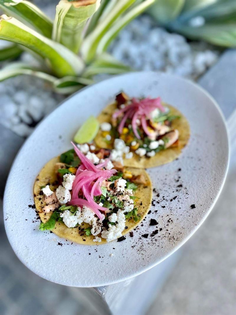 Agave Rosa, Kirra - Mexican Restaurant Menu, Phone, Reviews | AGFG