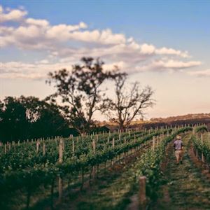 Lobethal Road - Winery, Mount Torrens - Modern Australian Restaurant ...